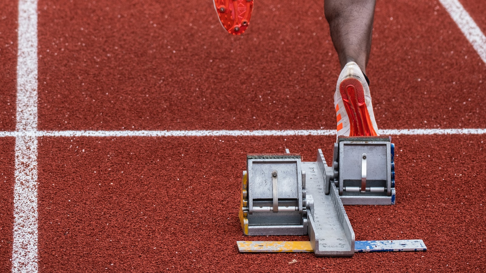 The Quick Brown Fox That Catapulted Me to Typing Superstar - Paddle ...